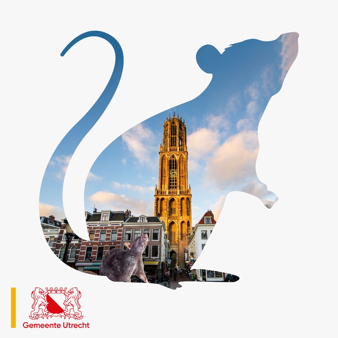 Het rattenplan van Utrecht - Kris Kras communicatie